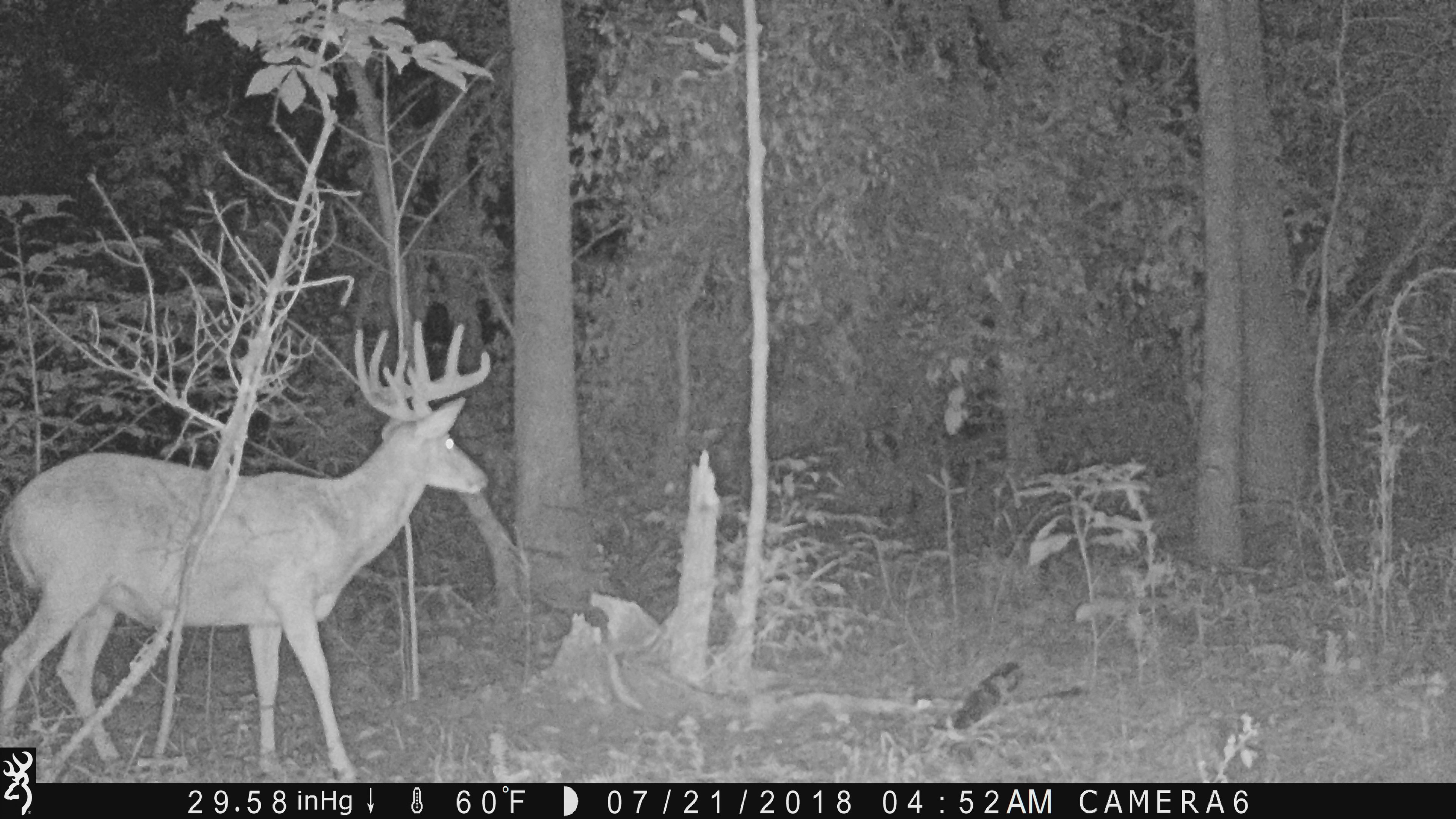 Snell-Clark Creek - Wilkes County, GA | Hunt Haven